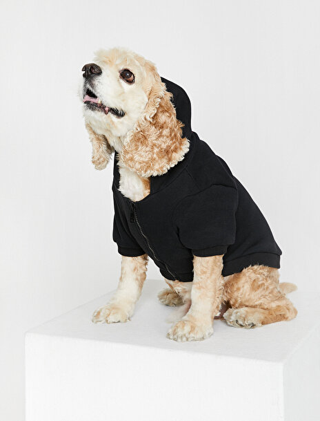 Koton Kadın Fermuar Detaylı Köpek Sweatshirt