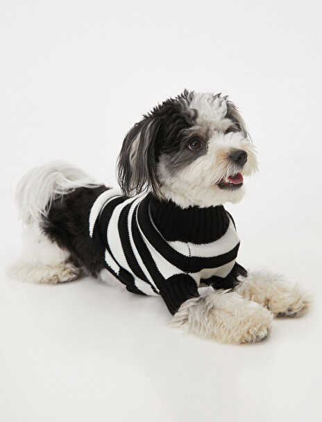 Koton Ole Genç Kız Çizgili Köpek Triko Kazagi