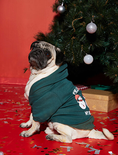 Koton Ole Genç Kız Kapüşonlu Baskılı Köpek Sweatshirt Koton Ole Genç Kız Kapüşonlu Baskılı Köpek Sweatshirt