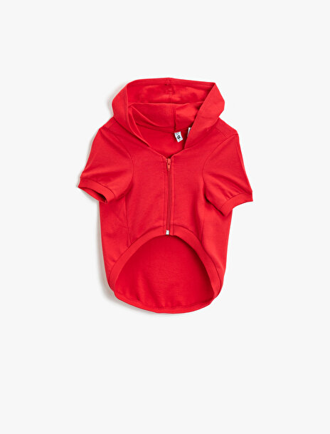 Koton Kadın Pamuklu Kapüşonlu Köpek Sweatshirt Koton Kadın Pamuklu Kapüşonlu Köpek Sweatshirt