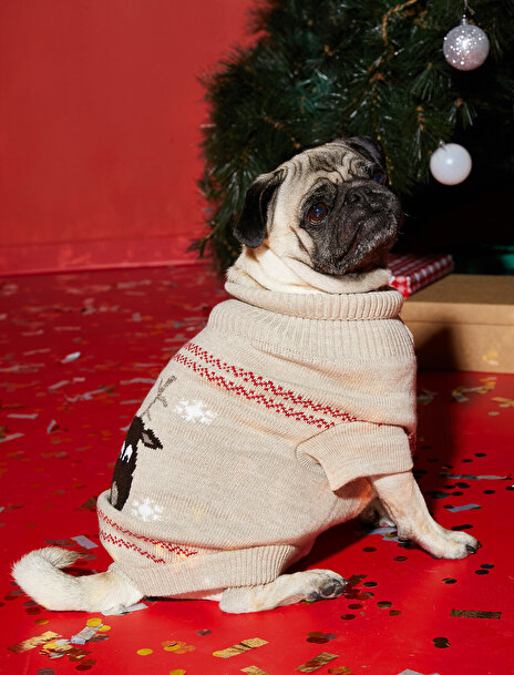 Koton Kadın Köpek Kazağı