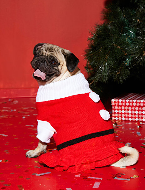 Koton Ole Genç Kız Fırfırlı Renk Bloklu Köpek Kazağı