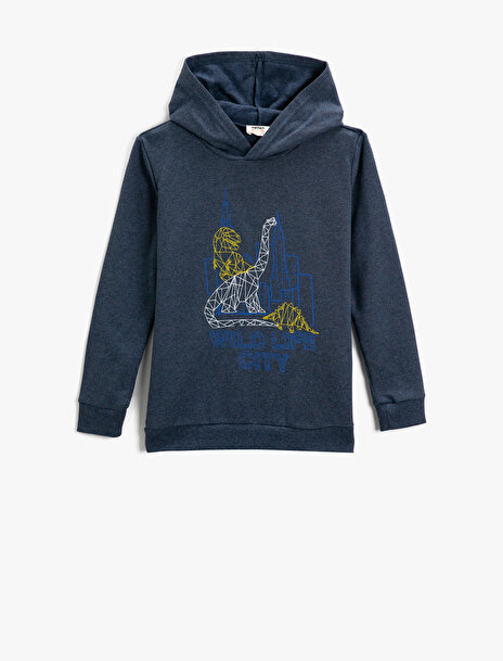 Koton Erkek Çocuk Dinozor Baskılı Kapüşonlu Sweatshirt Koton Erkek Çocuk Dinozor Baskılı Kapüşonlu Sweatshirt