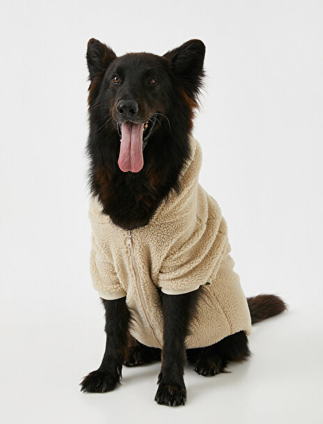 Koton Ole Genç Kız Peluş Kapüşonlu Köpek Sweatshirt Koton Ole Genç Kız Peluş Kapüşonlu Köpek Sweatshirt