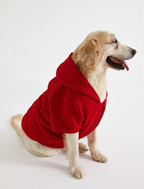 Koton Ole Genç Kız Köpek Sweatshirt