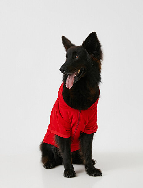 Koton Ole Genç Kız Love Dog Kapüşonlu Sweatshirt