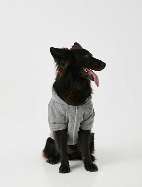 Koton Ole Genç Kız Love Dog Kapüşonlu Sweatshirt