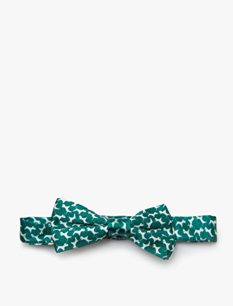 Koton Erkek Çocuk Desenli Papyon